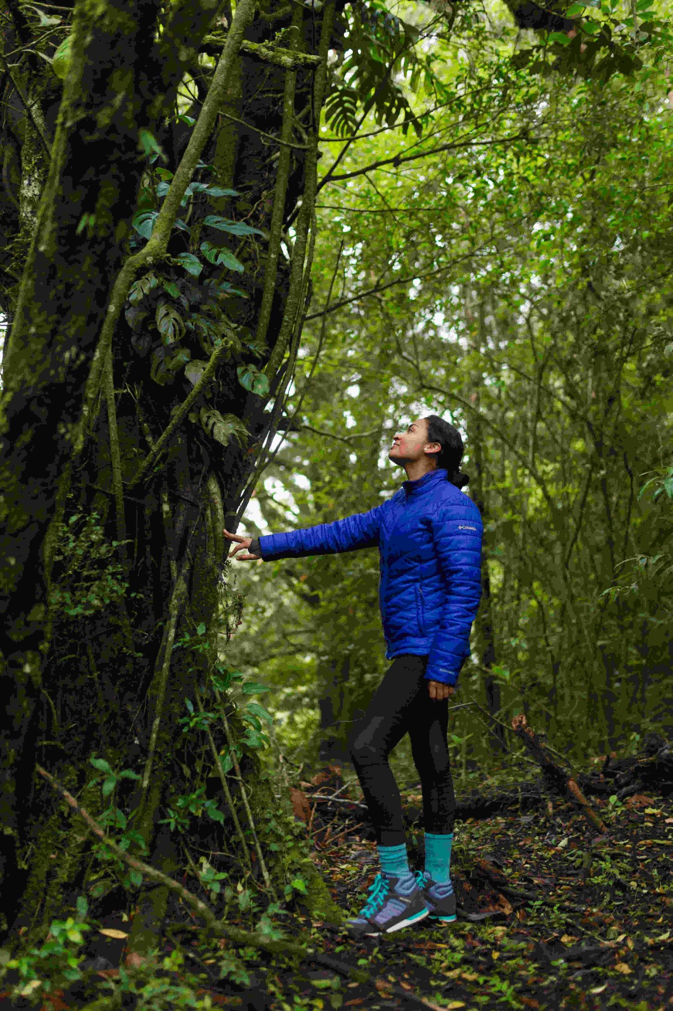 Self-Guided Trail Walk - Fondavela Mountain Hotel