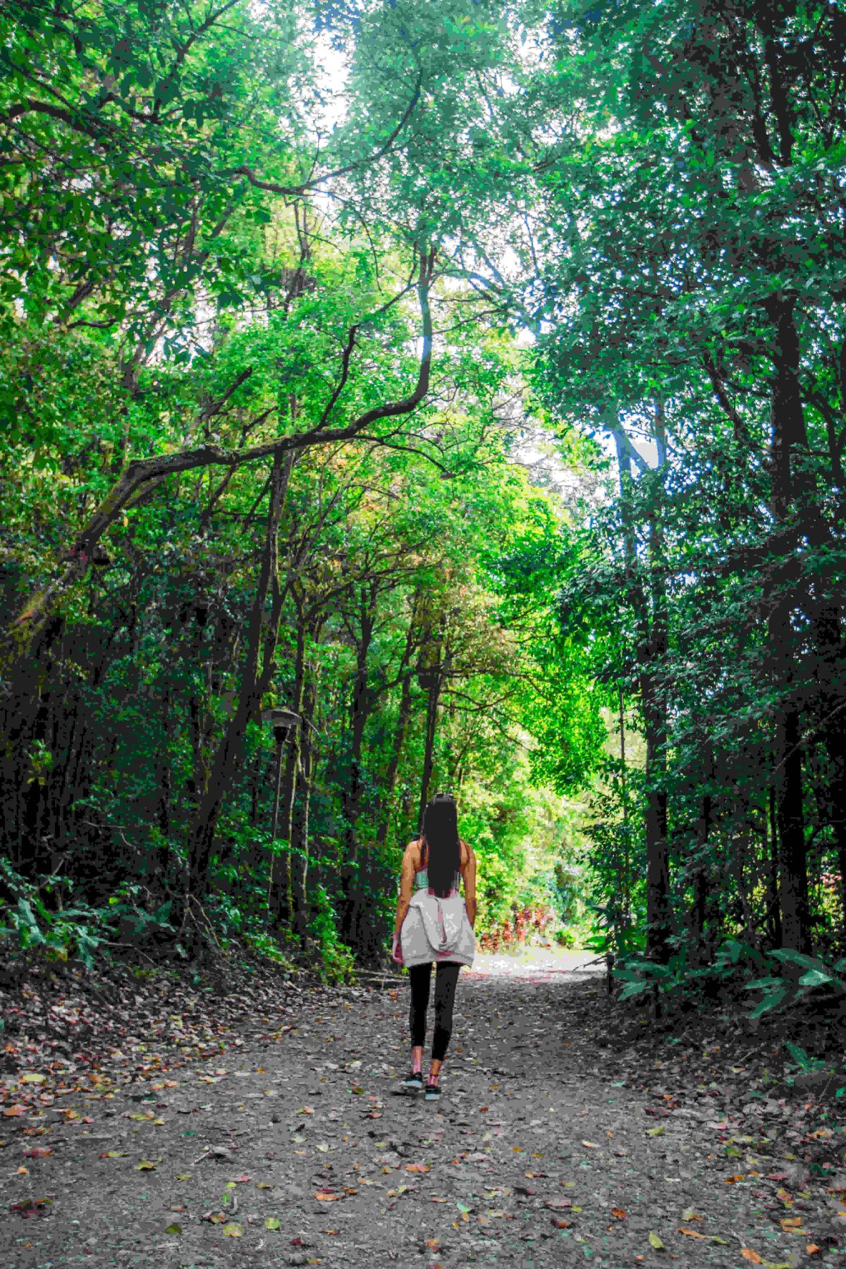Self-Guided Trail Walk - Fondavela Mountain Hotel
